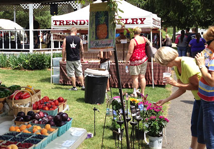 Three Great Shows This Season at Turkeyville in Marshall, Michigan
